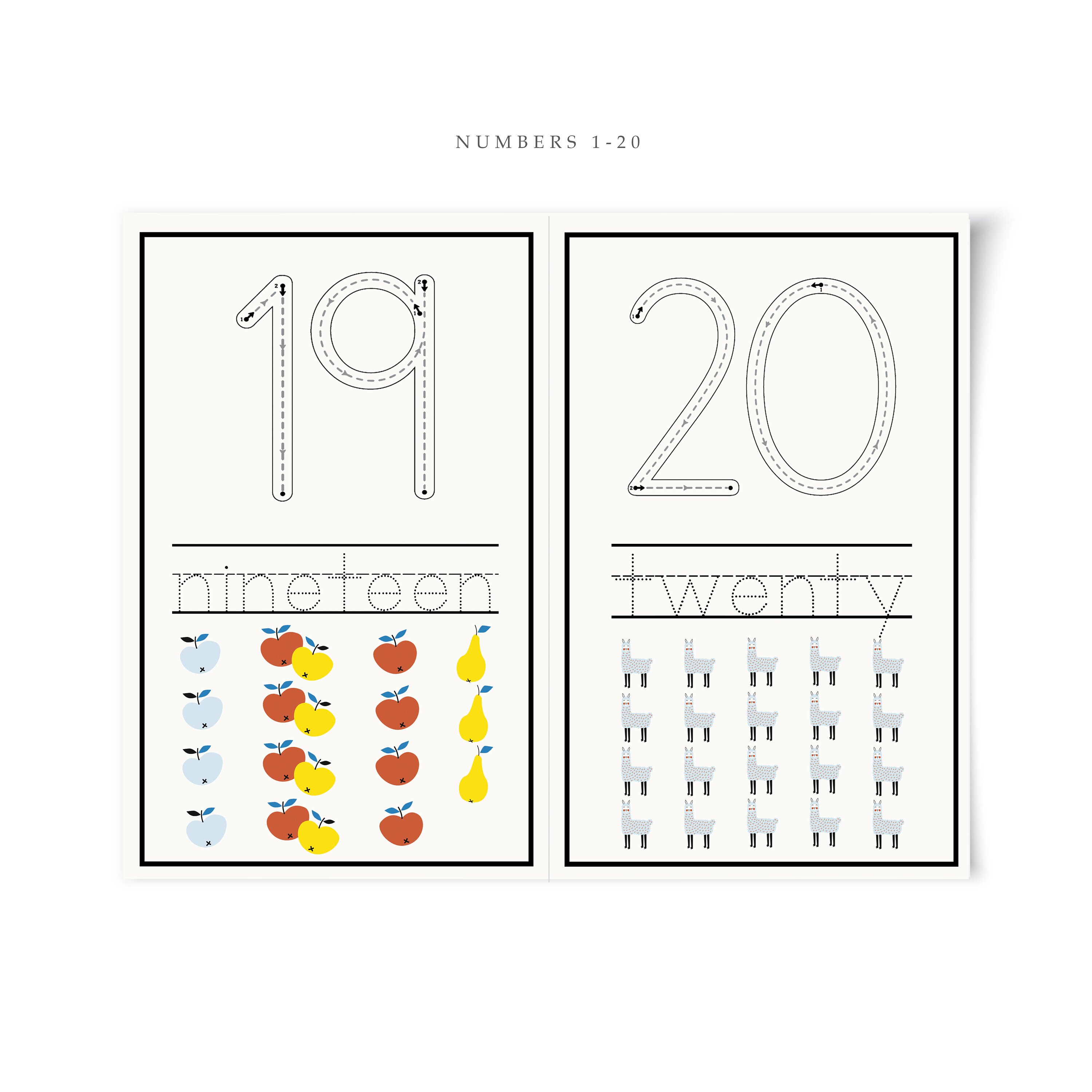 Number Flashcards for Kids Numbers 1-20 Oversized Flashcards - Etsy