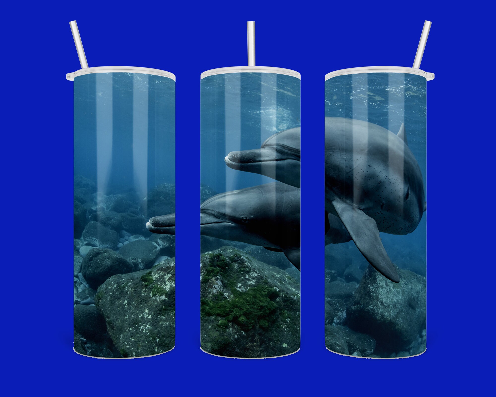 Dolphins Underwater 20 Ounce Skinny Drinking Tumbler - Etsy
