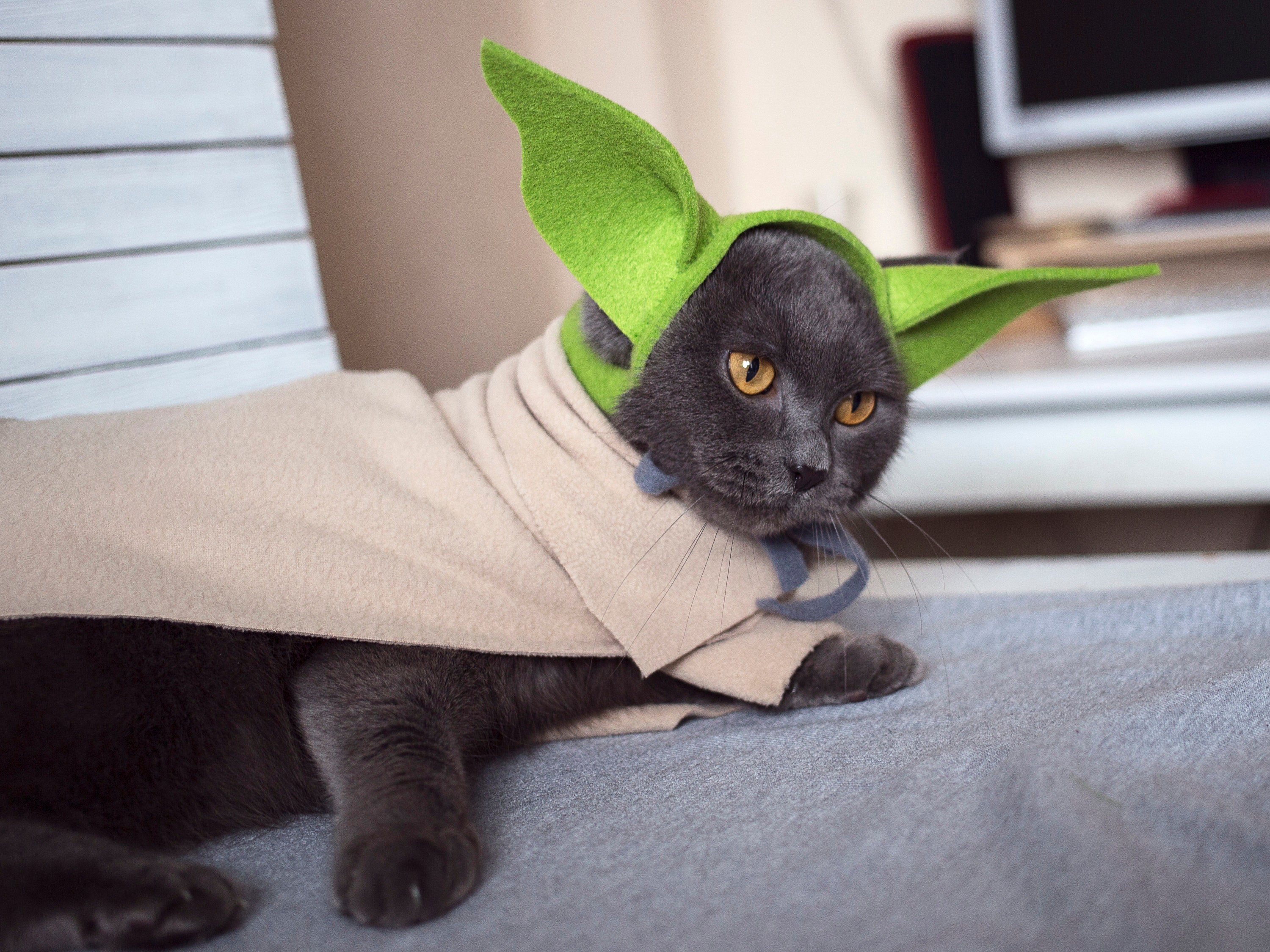 Green baby Alien hat for cat Pattern / Cosplay cat Fan art / | Etsy