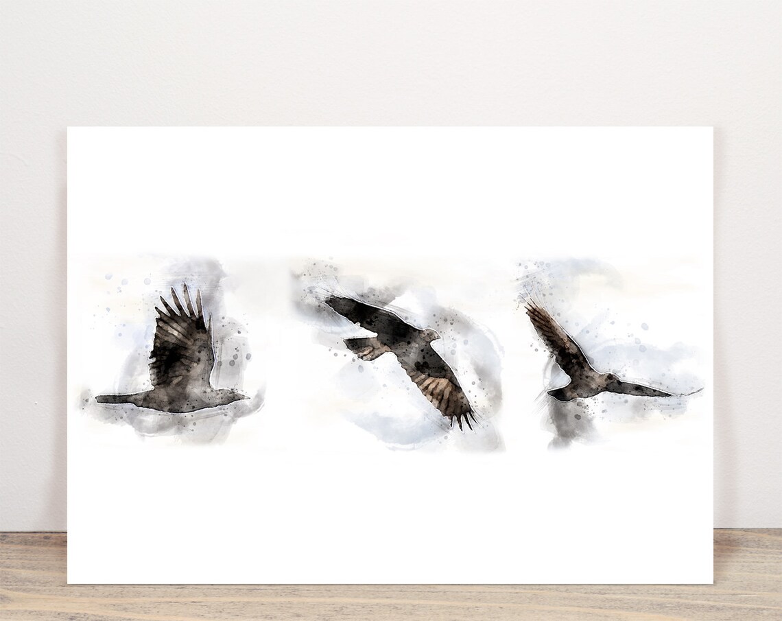 Crow Art Print, Watercolour Style Art of Three Crows Flying | Gothic ...
