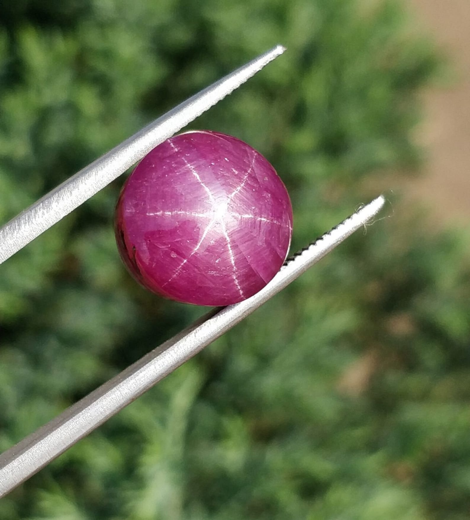 Excellent Polished Natural Star Ruby Cabochon With Natural Stunning ...
