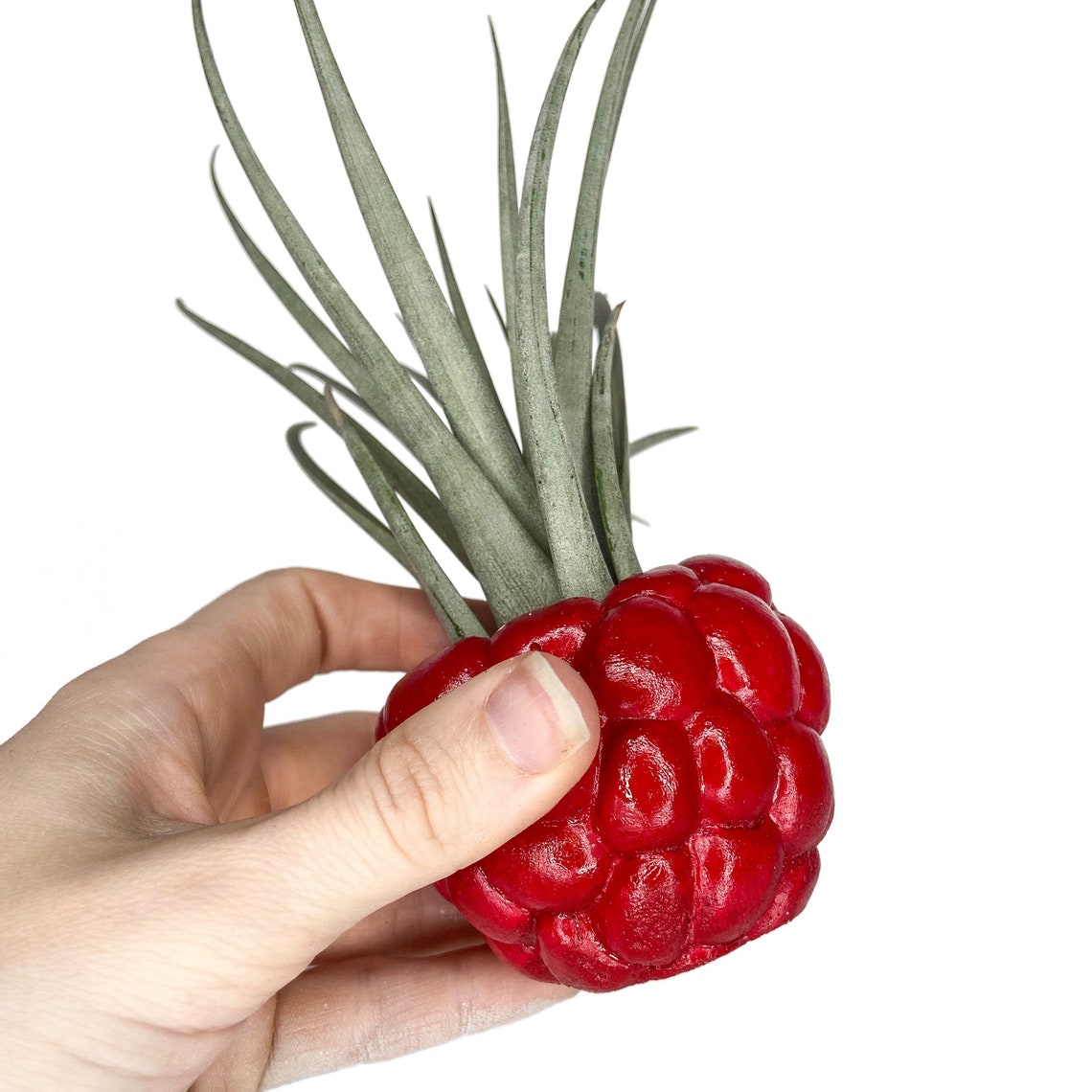 Lil' Raspberry Pot Air Planter - Etsy