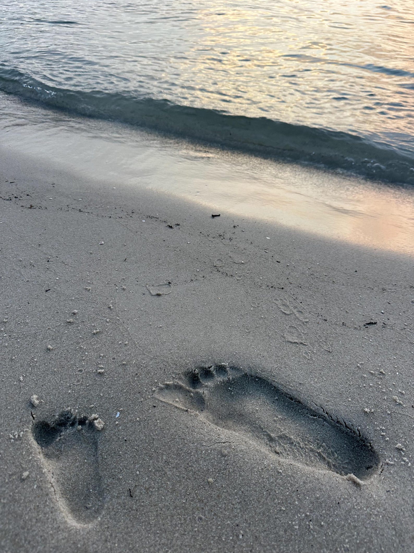 A Word or Message Written in the Sand Taken From a Florida Beach! Many ...
