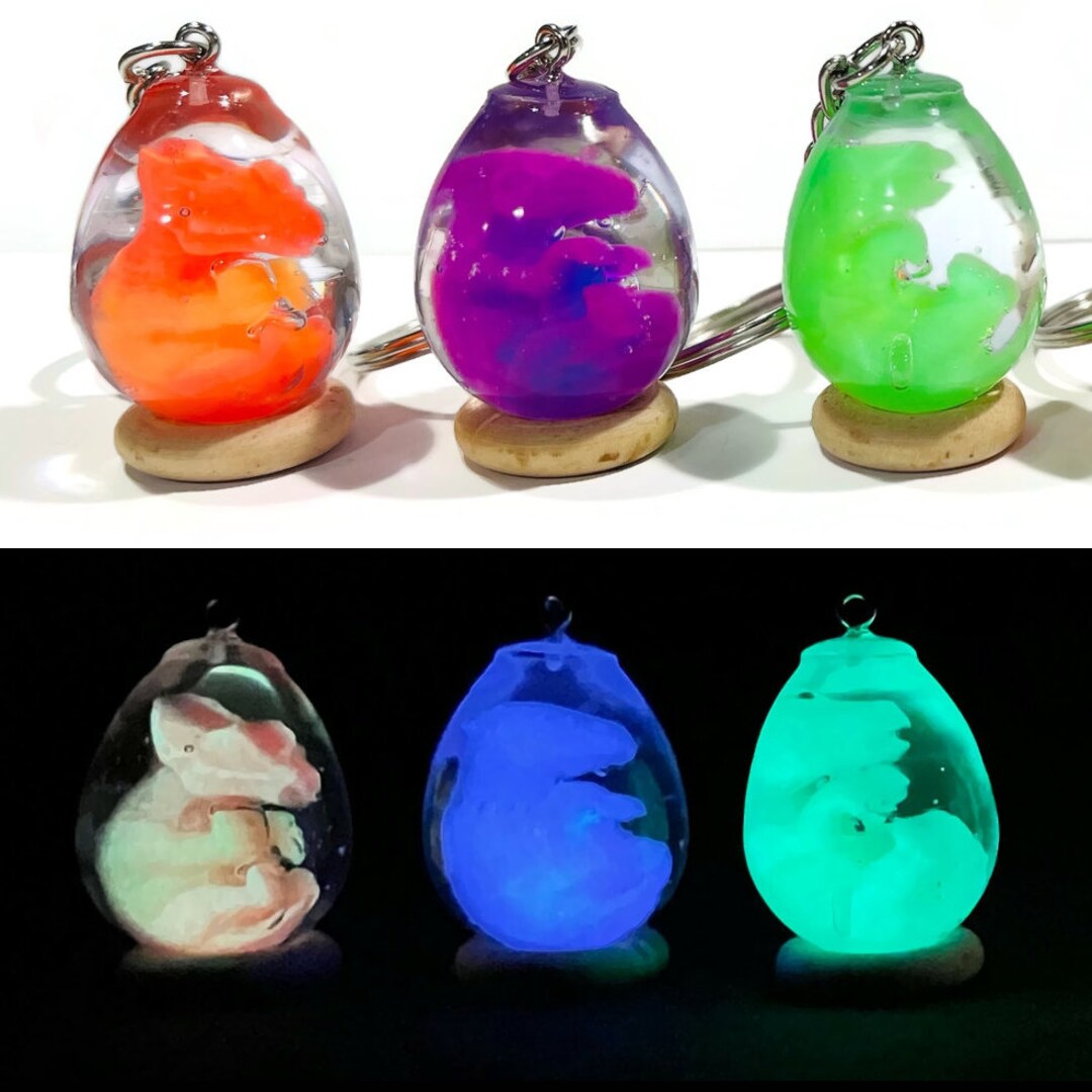 Dinosaur Reptile Dragon Egg Embryo Glow in the Dark Key Ring Keychain ...