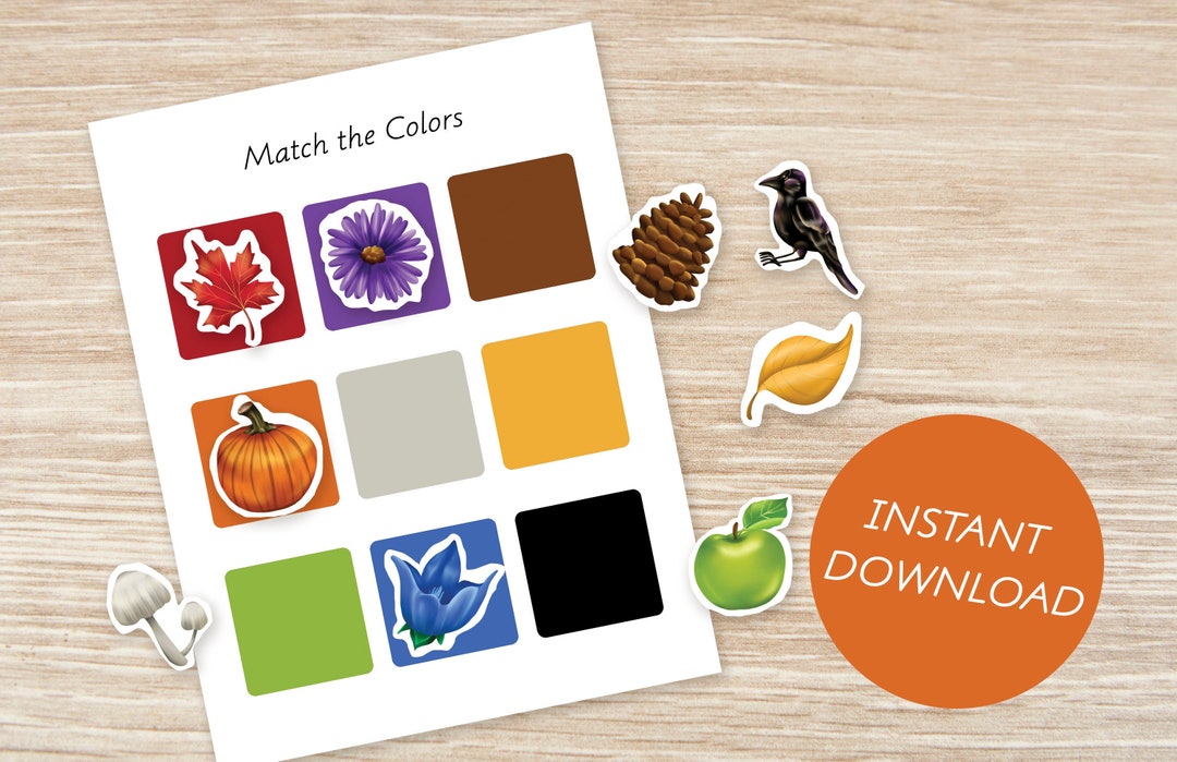 Autumn Color Matching Sorting, Preschool Nature Color Match, Montessori ...