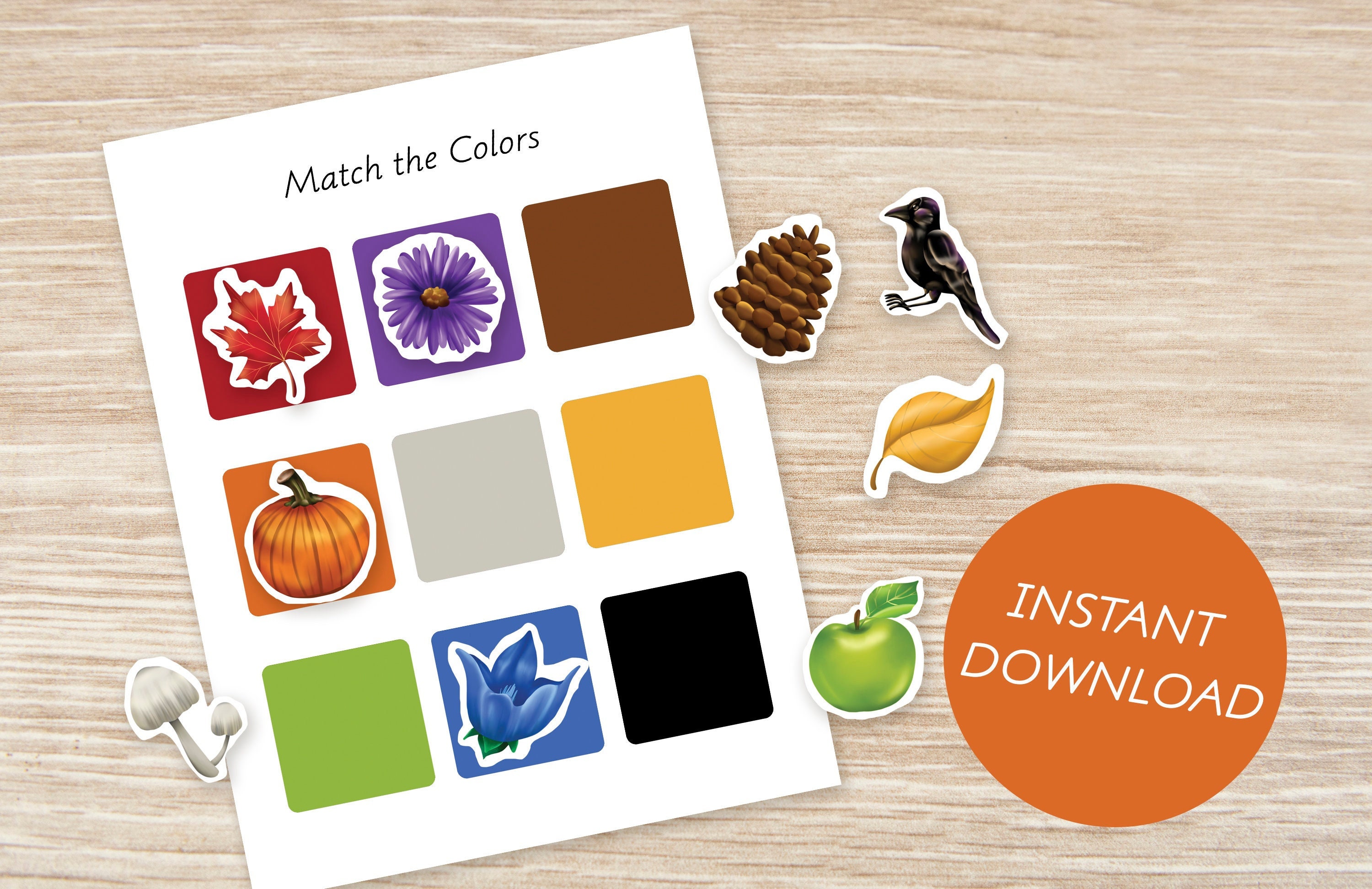 Autumn Color Matching Sorting, Preschool Nature Color Match, Montessori ...