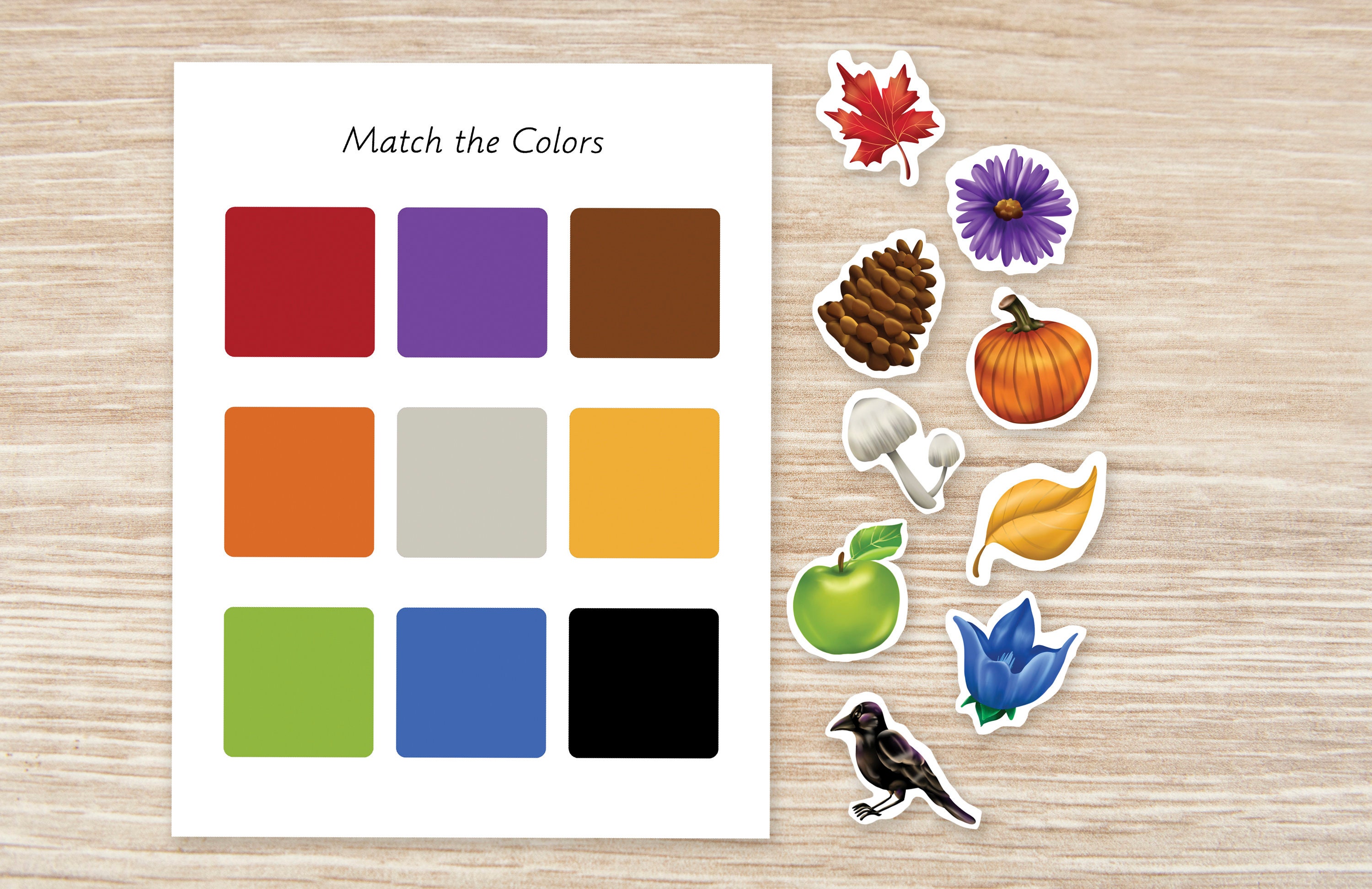 Autumn Color Matching Sorting Preschool Nature Color Match - Etsy