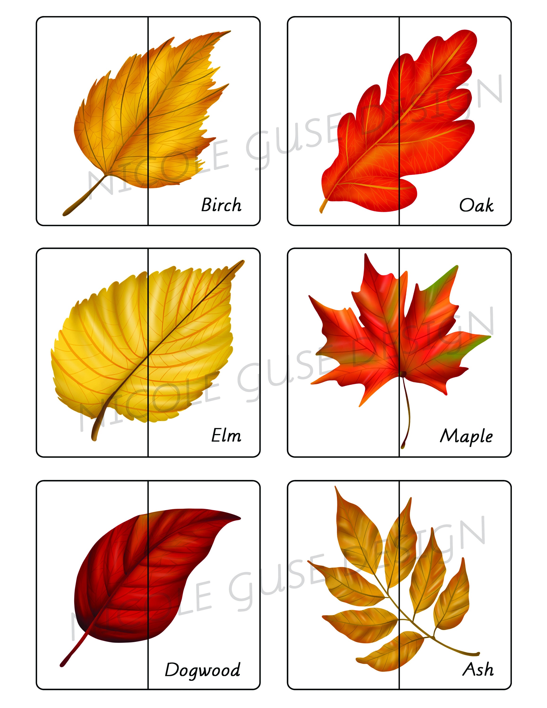 Autumn Leaf Preschool Bundle, Autumn Leaf 3 Part Cards, Montessori ...