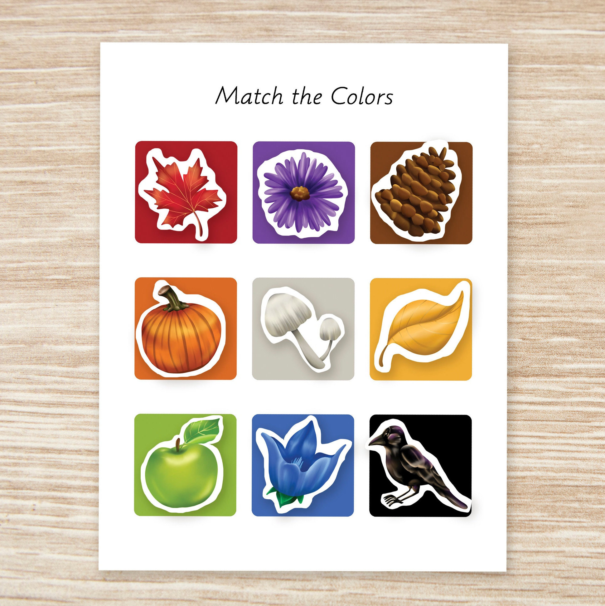 Autumn Color Matching Sorting Preschool Nature Color Match - Etsy