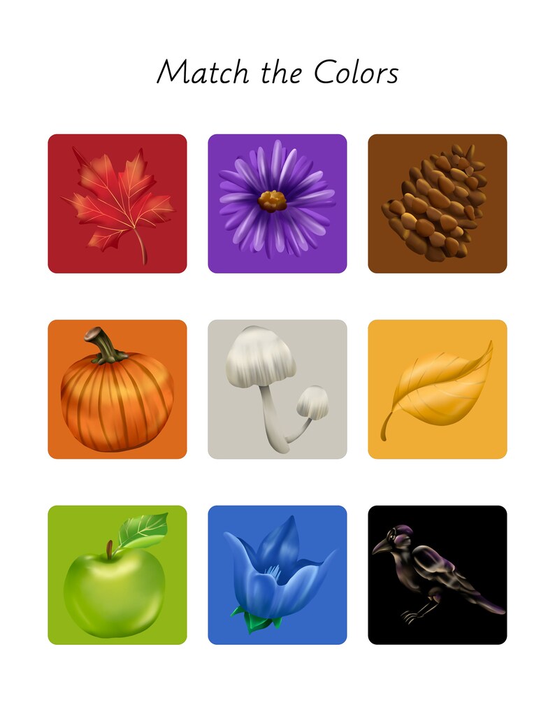 Autumn Color Matching Sorting, Preschool Nature Color Match, Montessori ...