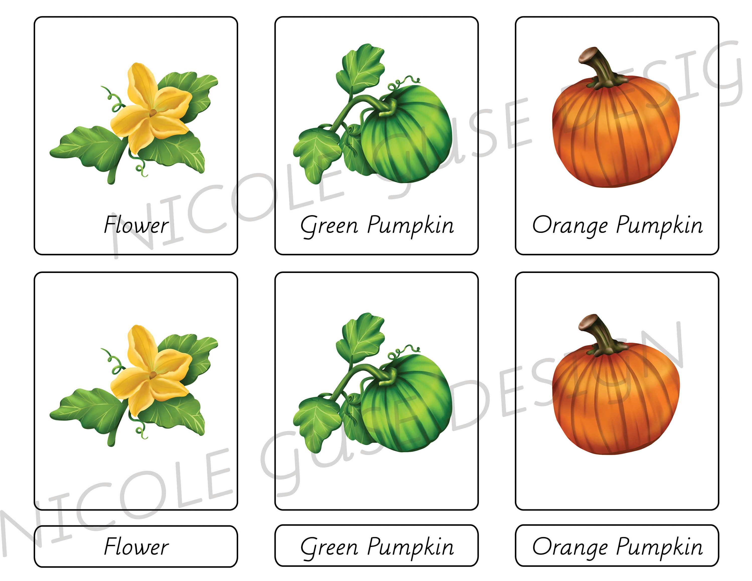 Pumpkin Life Cycle Preschool Bundle Pumpkin 3 Part Cards - Etsy