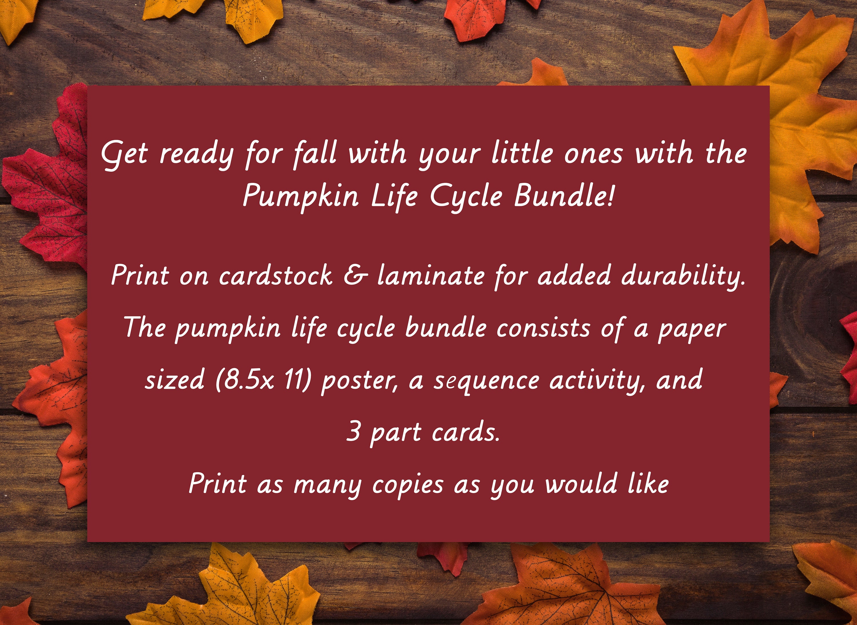 Pumpkin Life Cycle Preschool Bundle Pumpkin 3 Part Cards - Etsy