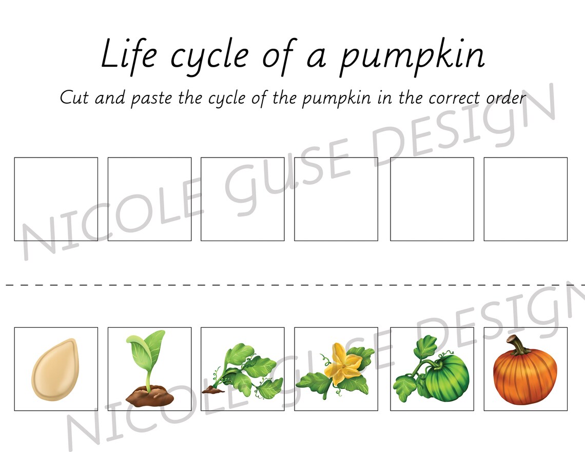 Pumpkin Life Cycle Preschool Bundle Pumpkin 3 Part Cards - Etsy