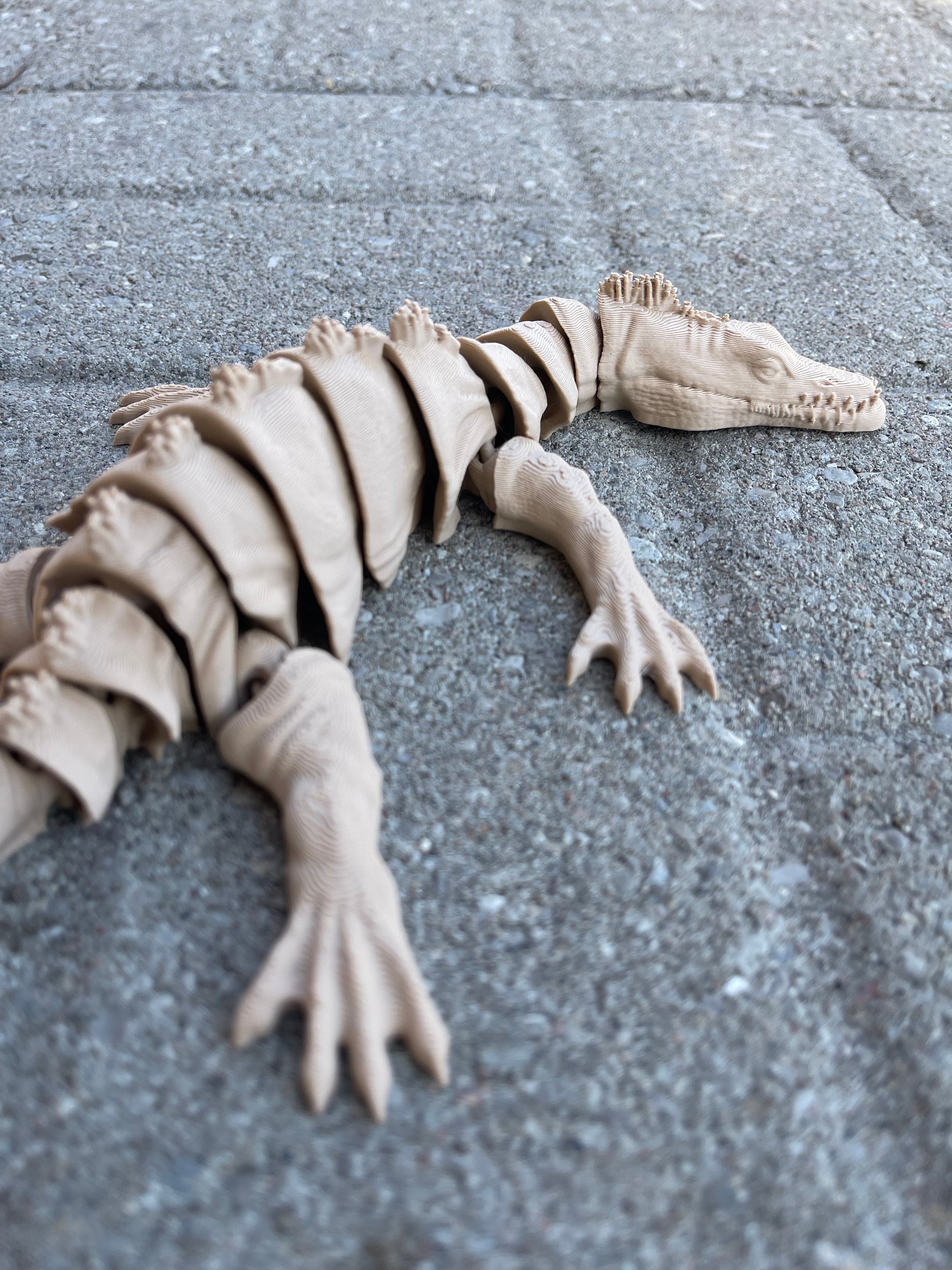 Nothosaurus Skeleton