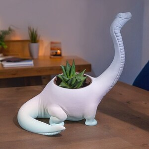 Adorable Dinosaur Planter, Cute Brontosaurus Succulent Pot, Unique Dino ...