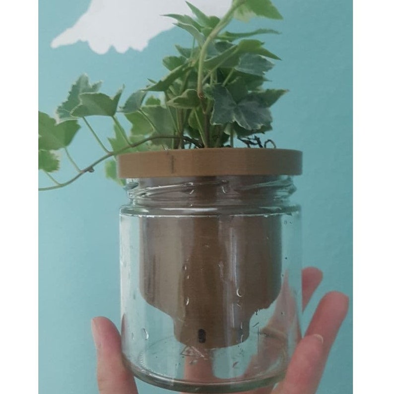 Self-watering Indoor Planter Jar, 3D Printed, Indoor Plant, Active ...