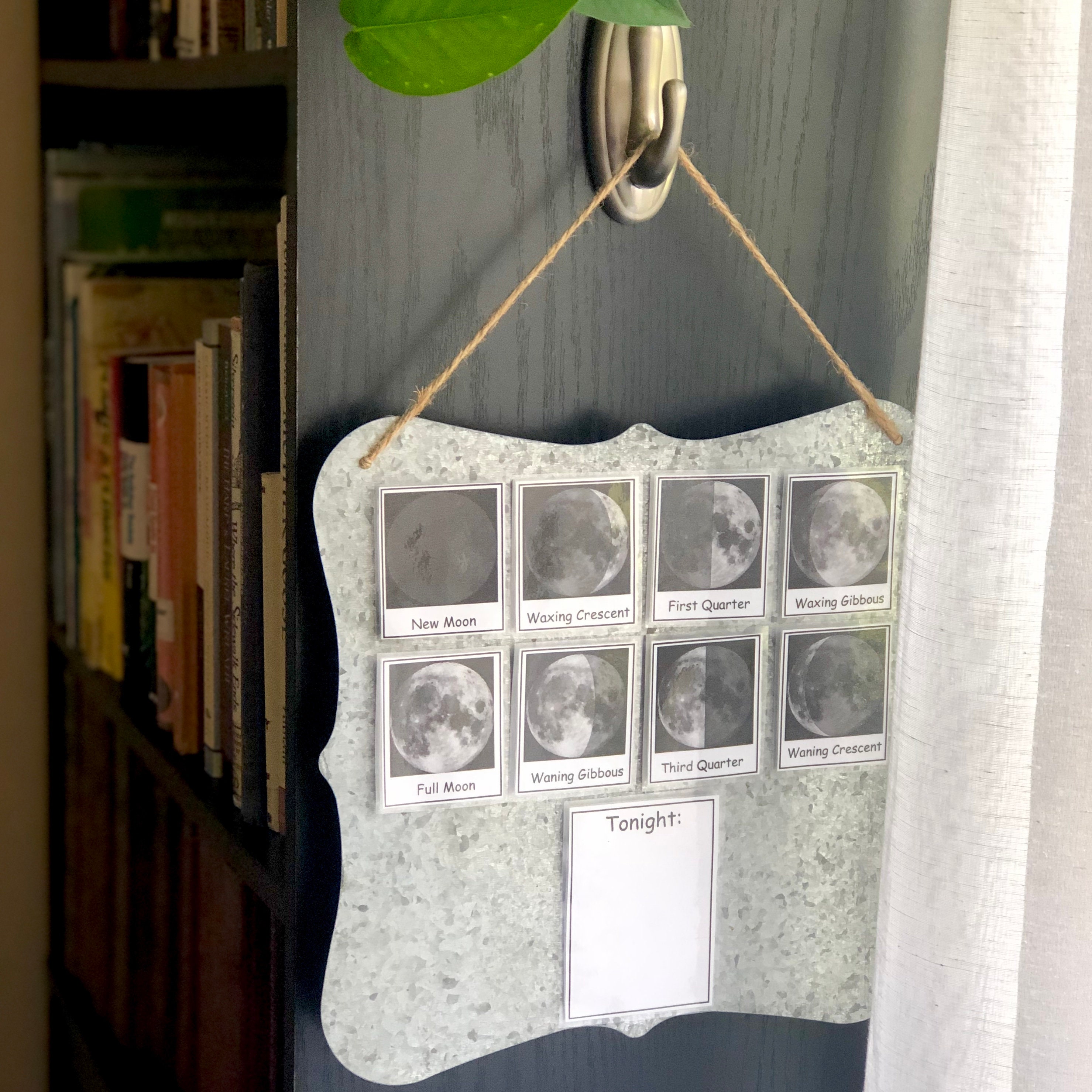 Moon Phase Cards - Etsy