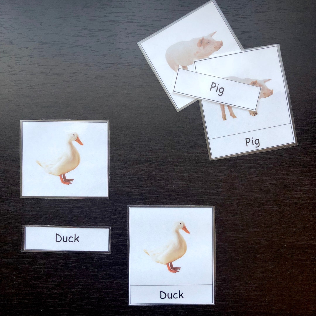 Farm Animals 3 Part Cards - Etsy