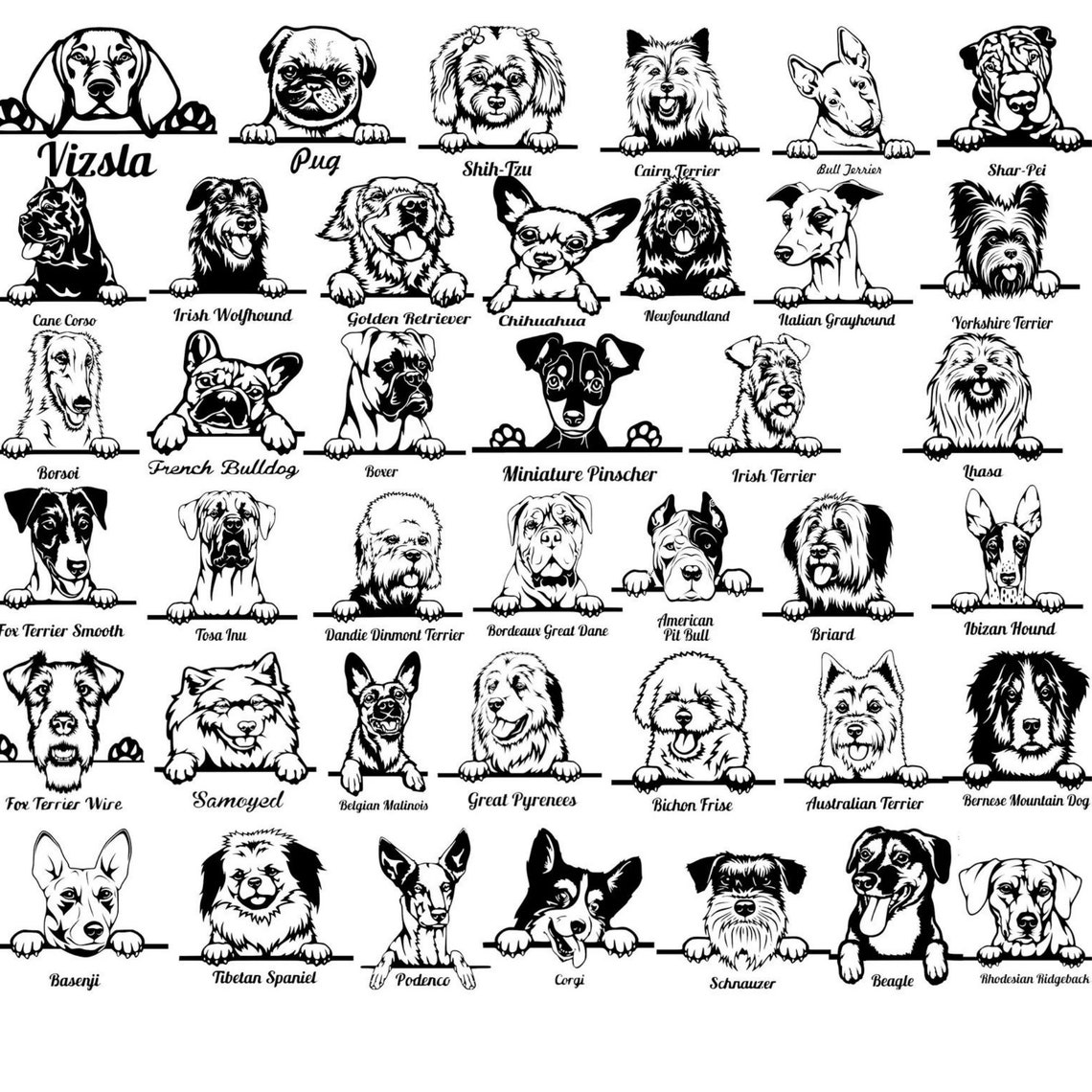 Your Custom Dog Metal Sign Metal Sign Personalized Dog Sign - Etsy