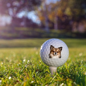 Custom Dog Golf Ball, Dog Day Golf Gift, Golf Balls for Dogs ...