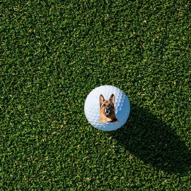 Custom Cat Golf Ball, Cat Day Golf Gift, Golf Balls for Cats ...