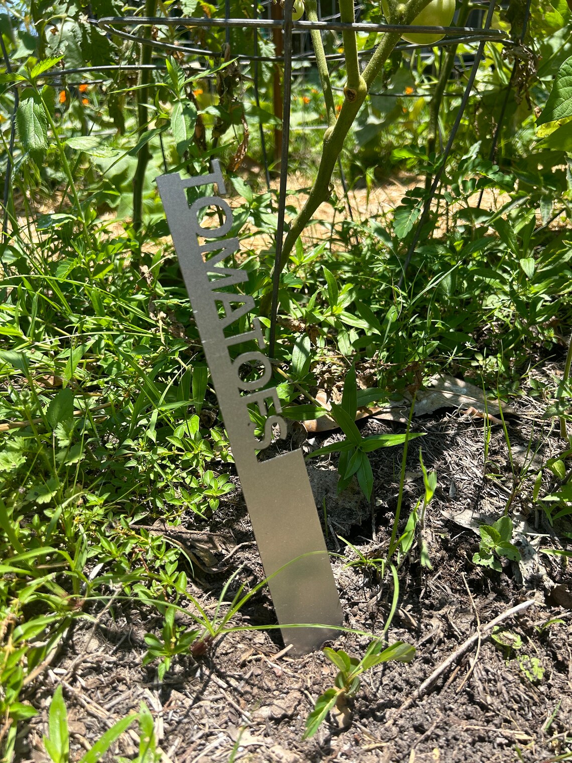 Custom Metal Garden Stakes, Garden Decor, Personalized Plant Names ...