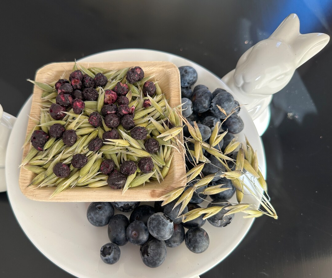 Fruit & Forage Healthy, Organic Forage Blends for Rabbits in Simple ...