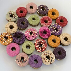 24 donut Rabbit Treats With Organic Fruit & Veggie Glaze 8 Flavors ...