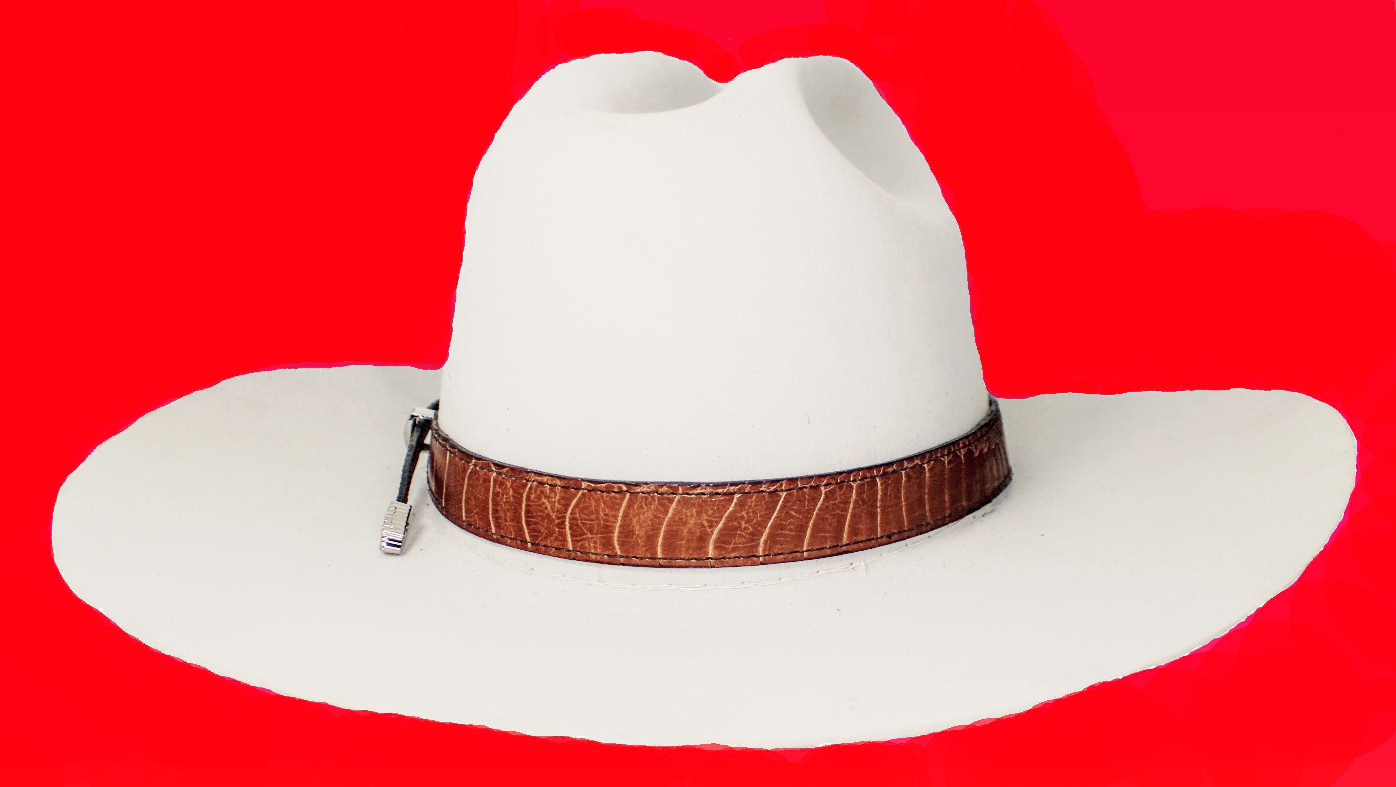Ostrich Leg Hat Band Western Cowboy Hat 3/4x28 Custom Handmade in Three ...
