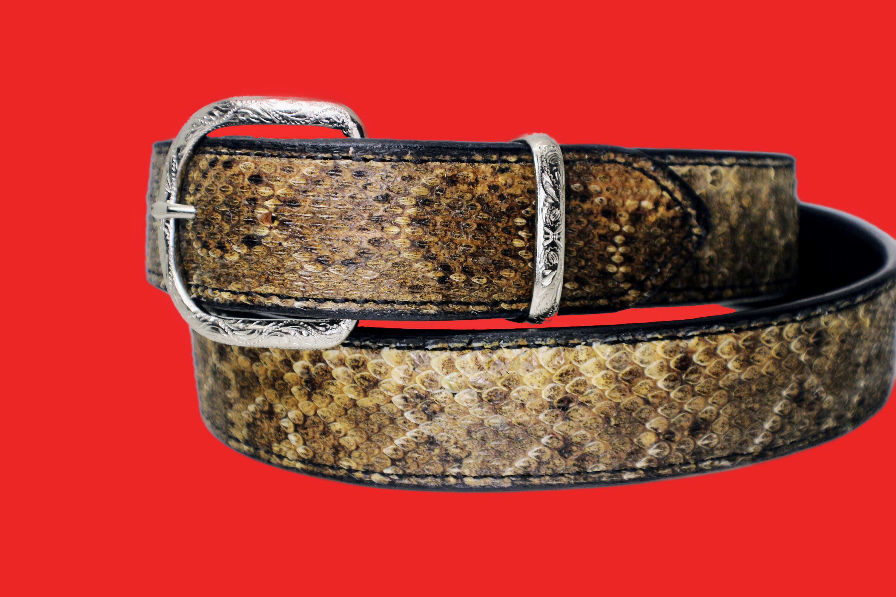 Genuine Rattle Snake Belt With Engraved Silver Color Buckle and Loop - Etsy