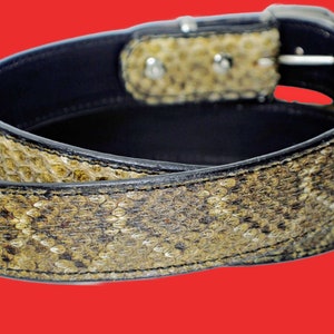 Genuine Rattle Snake Belt With Engraved Silver Color Buckle and Loop - Etsy