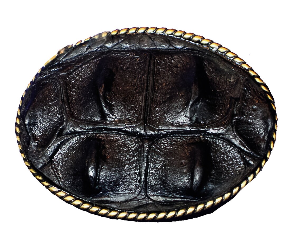 Real Hornback Gator Belt Buckle in Black or Brown - Etsy