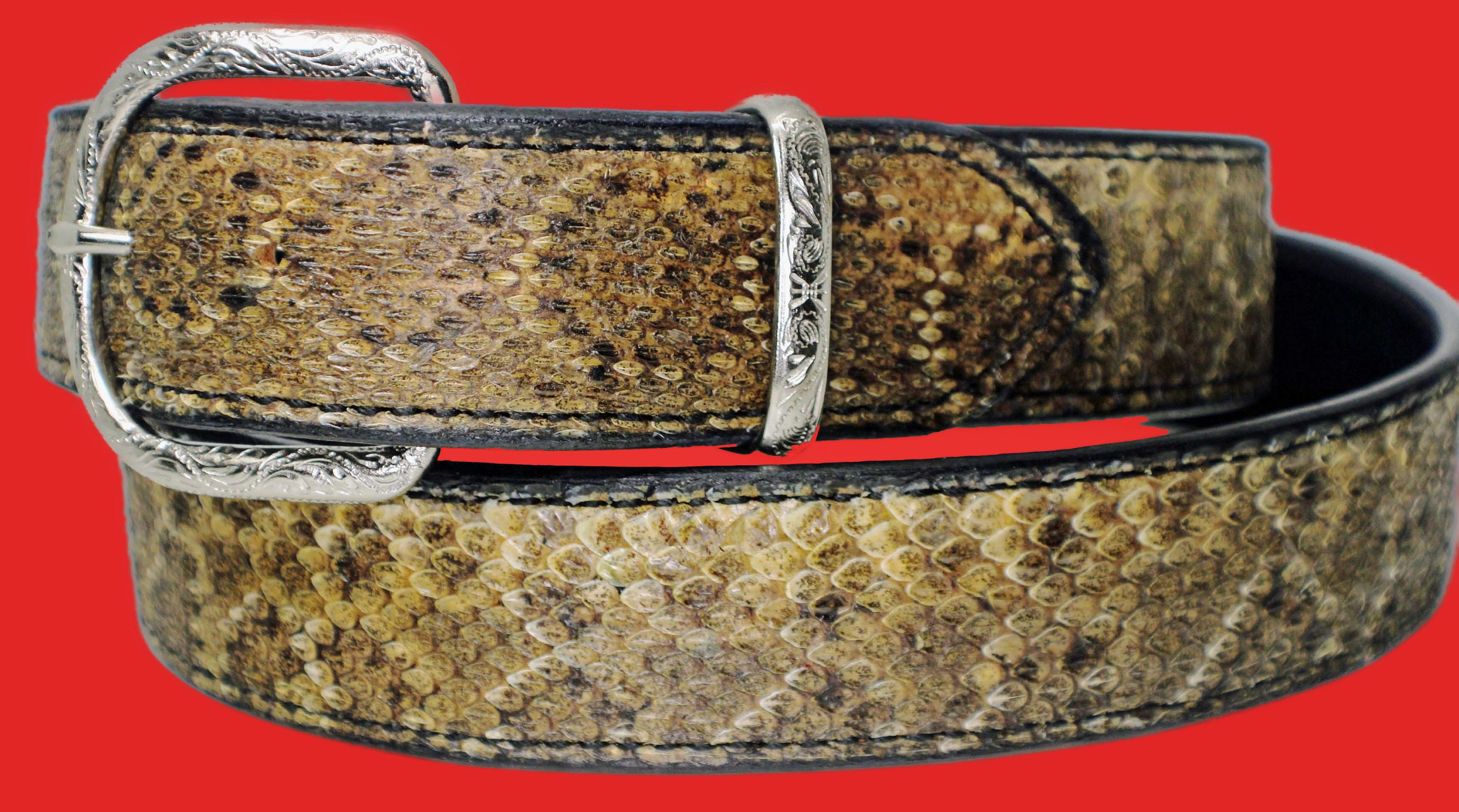 Genuine Rattle Snake Belt With Engraved Silver Color Buckle and Loop - Etsy