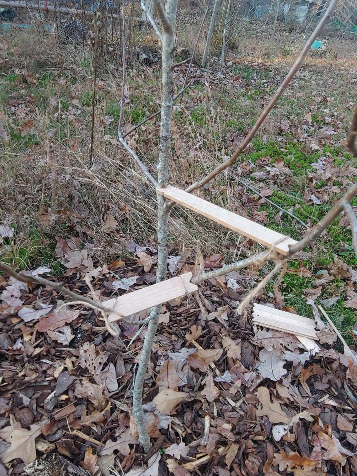 Wooden Tree Limb Spreaders Set of 10, With 5 Different Sizes New and ...