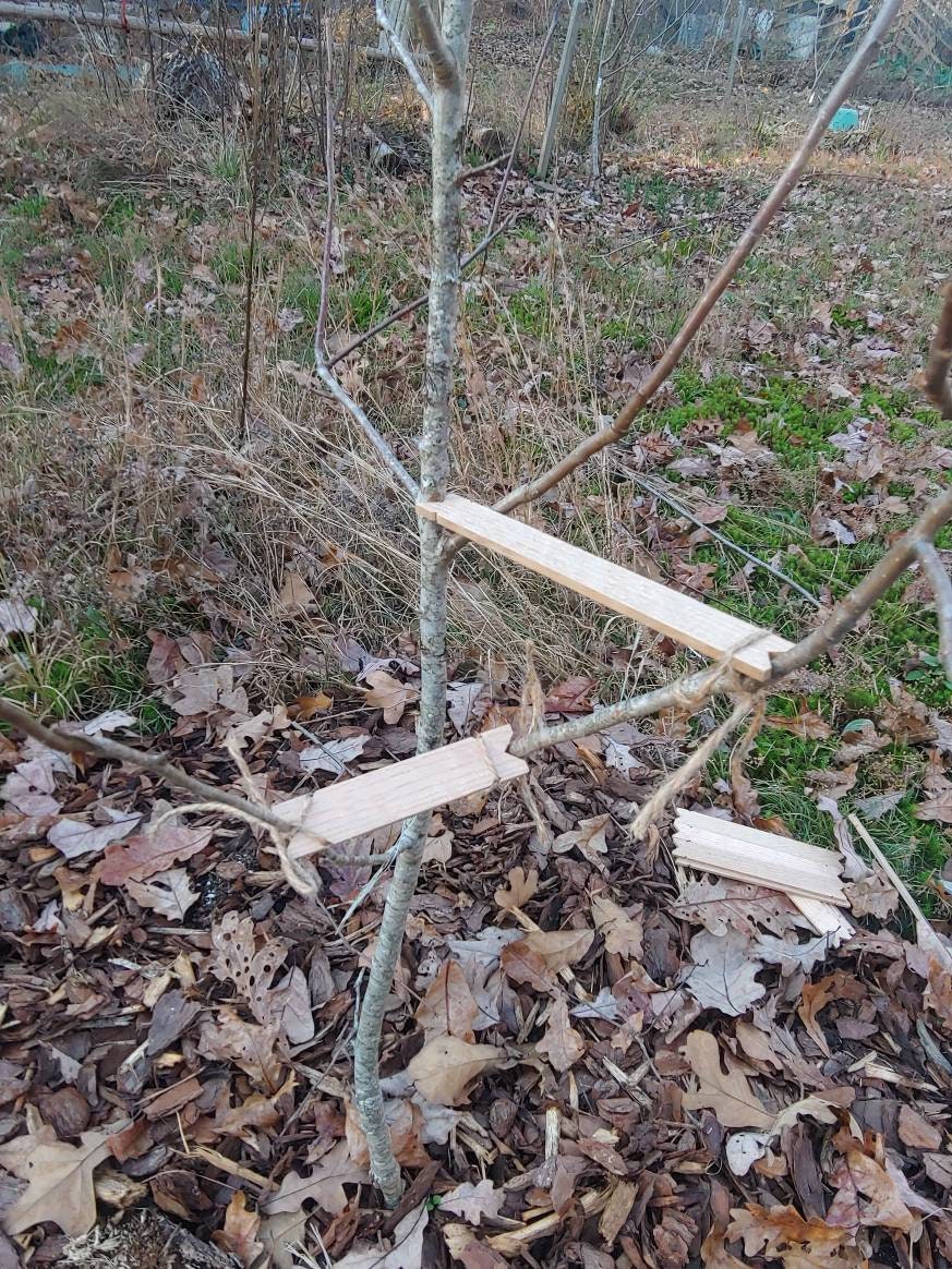 Wooden Tree Limb Spreaders - Set of 10, With 5 Different Sizes - New ...