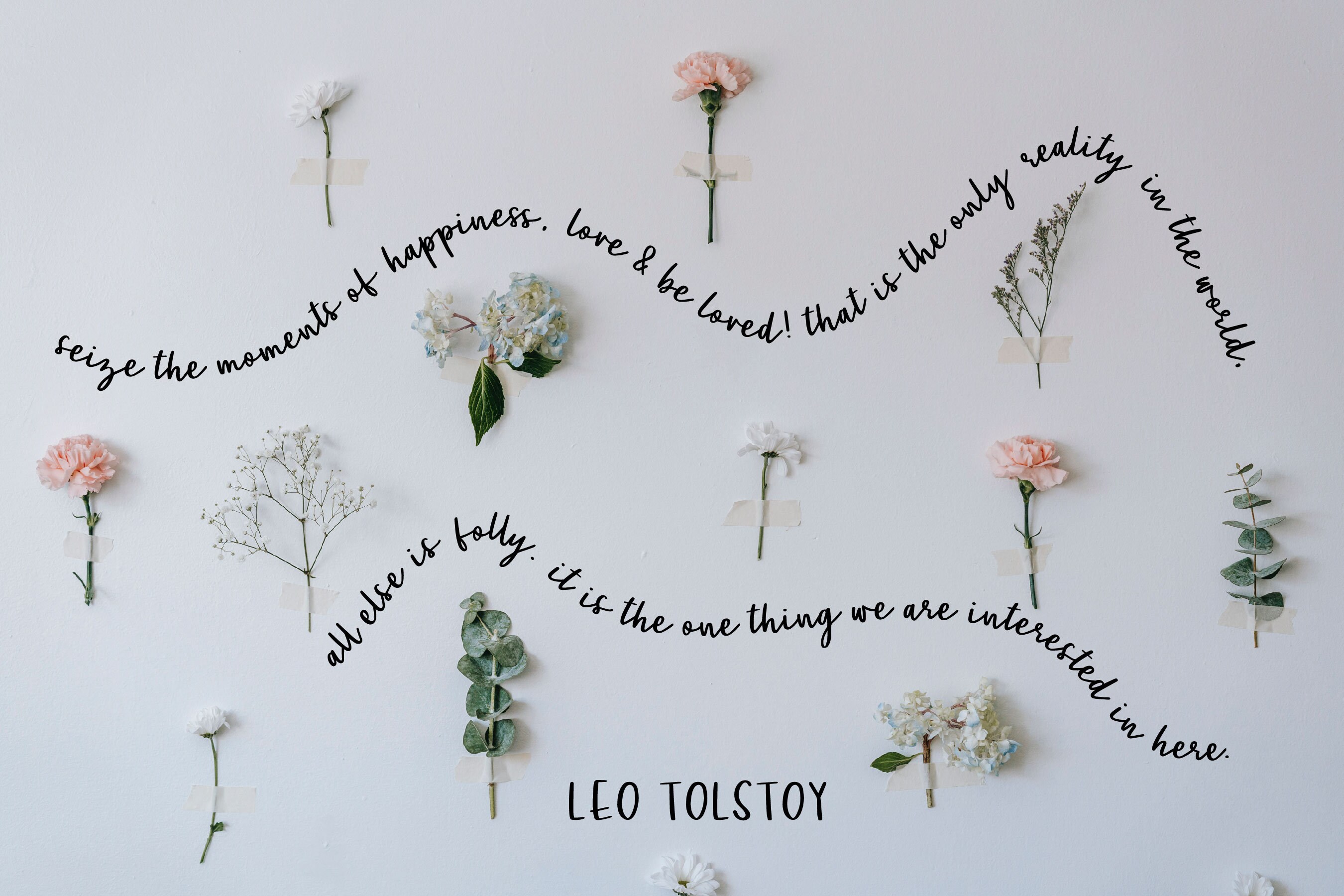 Hydrangea Bloom : an Elegant Cursive & Caps Hand-lettered Font - Etsy