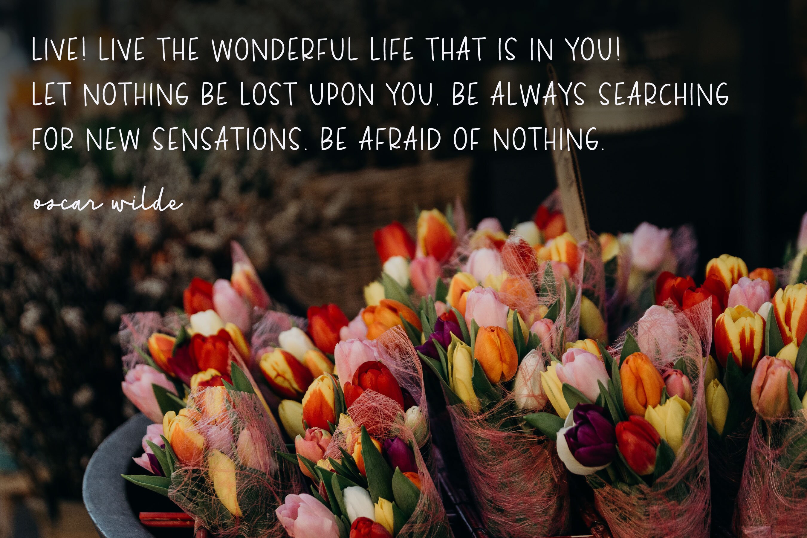 Tulipa Bloom : A Simple Cursive & Caps Hand-lettered Font - Etsy