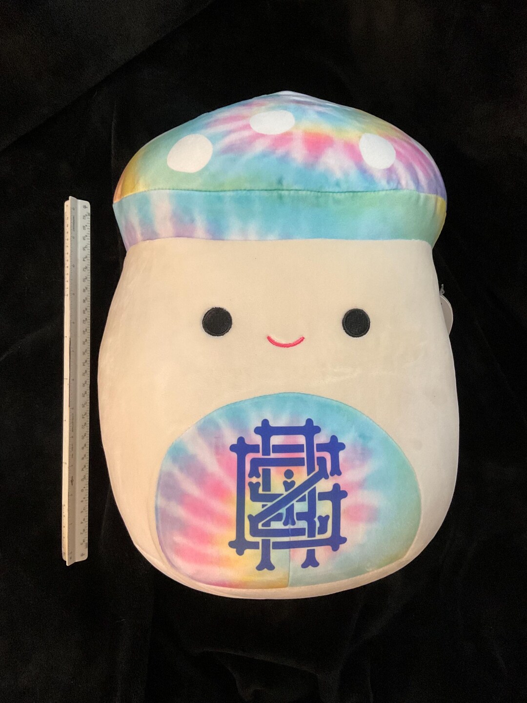 Griz Squish 11 Inch With take Care Lyrics - Etsy