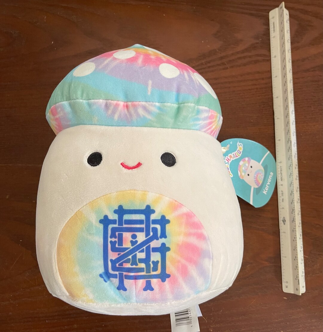 Griz Squish 8 Inch With “take Care” Lyrics - Etsy