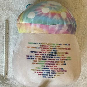 Griz Squish 14 Inch With “take Care” Lyrics - Etsy