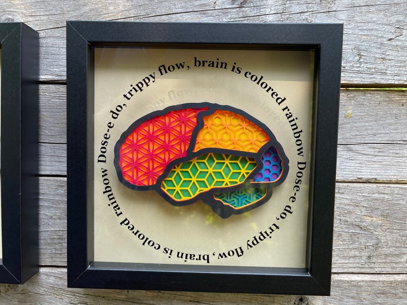 Griz 3D Wall Art Rainbow Brain Trio With Lyrics on Brain Frame - Etsy