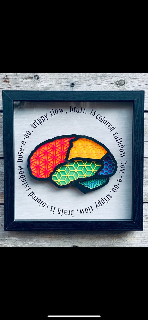 Griz Inspired Rainbow Brain Shadow Frame | Etsy