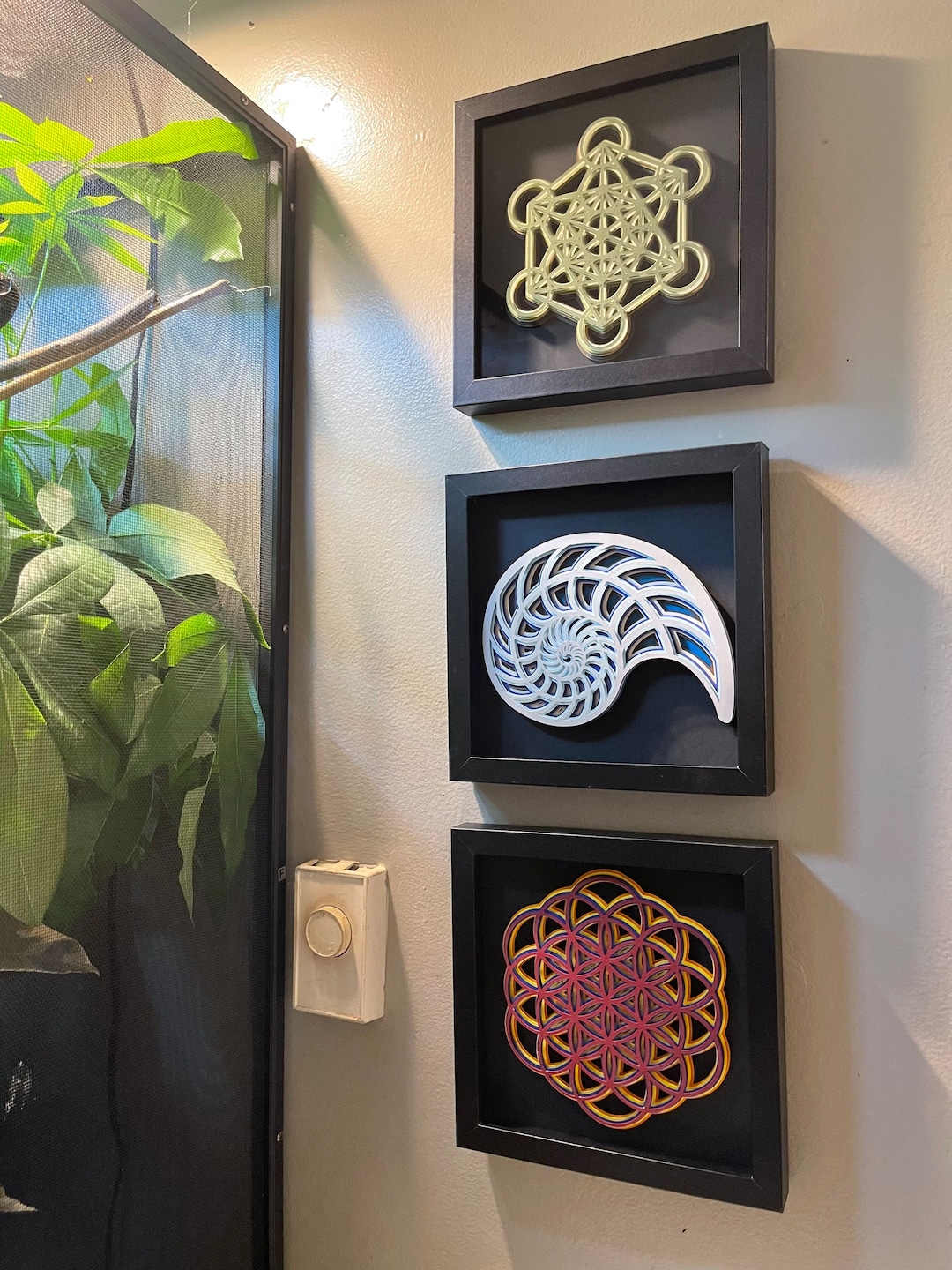 3D Layered Sacred Geometry Wall Art | Flower of Life | Fibonacci ...
