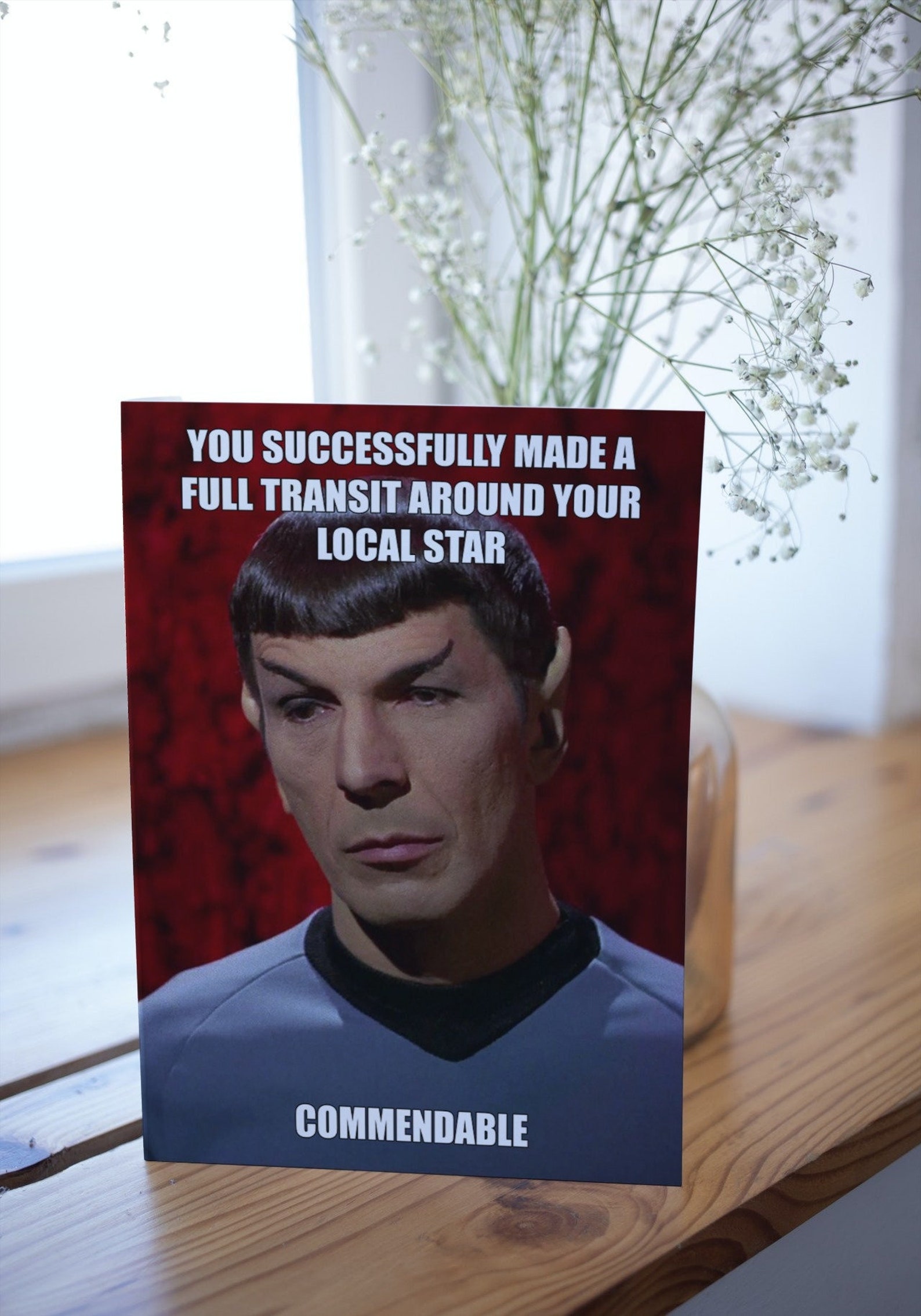 Spock Birthday Card Star Trek Fan Meme Vulcan Starship - Etsy