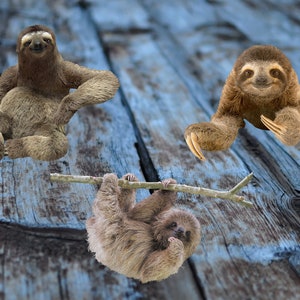 PNG 3 Sloth, Sloth Clipart, Sloth PNG, Sloth PNG Clipart, Vector Sloth ...