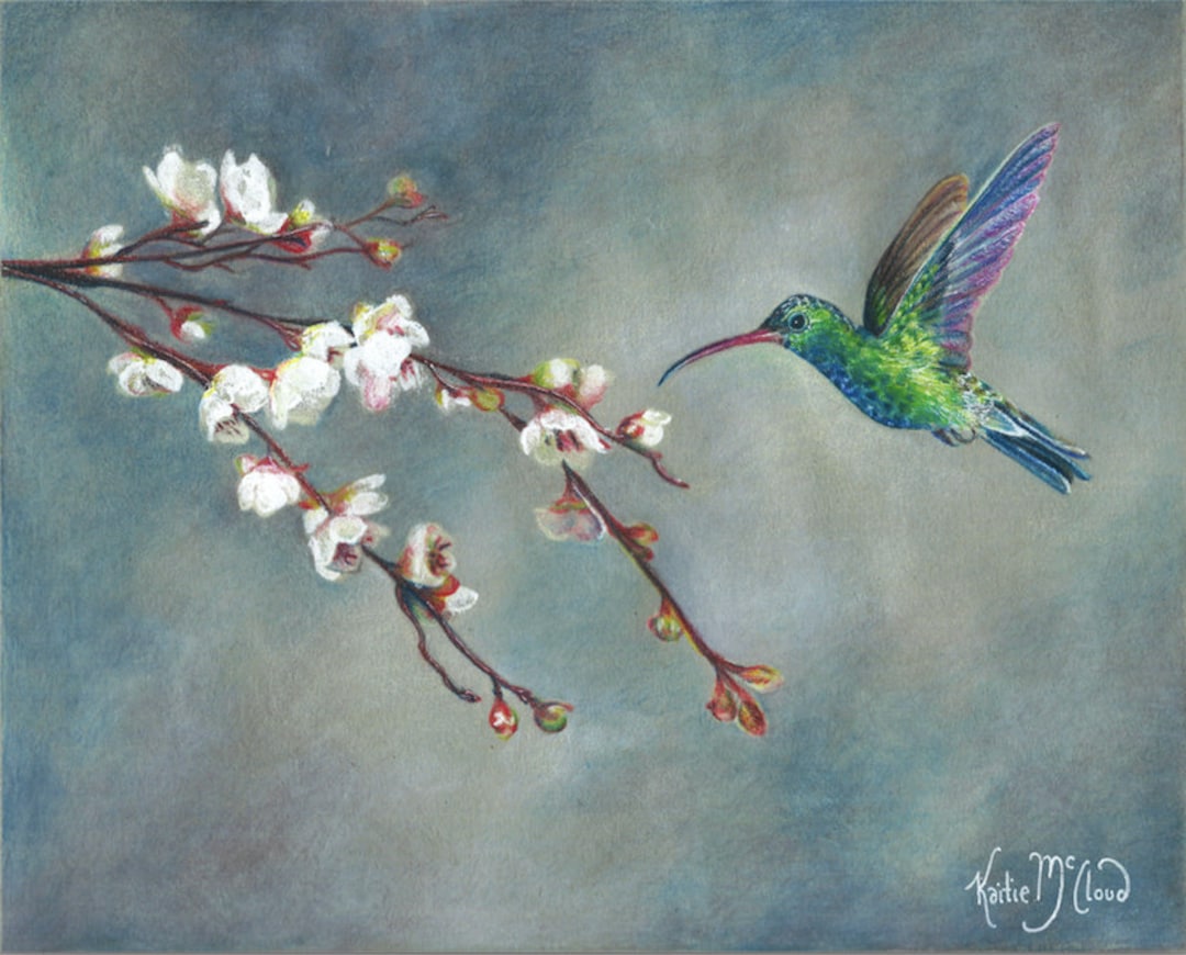 Realistic Hummingbird Drawing Colored Pencil Art Print by Kaitlin ...