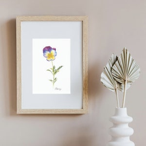Pansy Watercolor Realistic Botanical Fine Art Print - Etsy