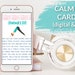 Virtual Calm Down Kit | Digital Coping Skills Tools, Worksheets, and ...