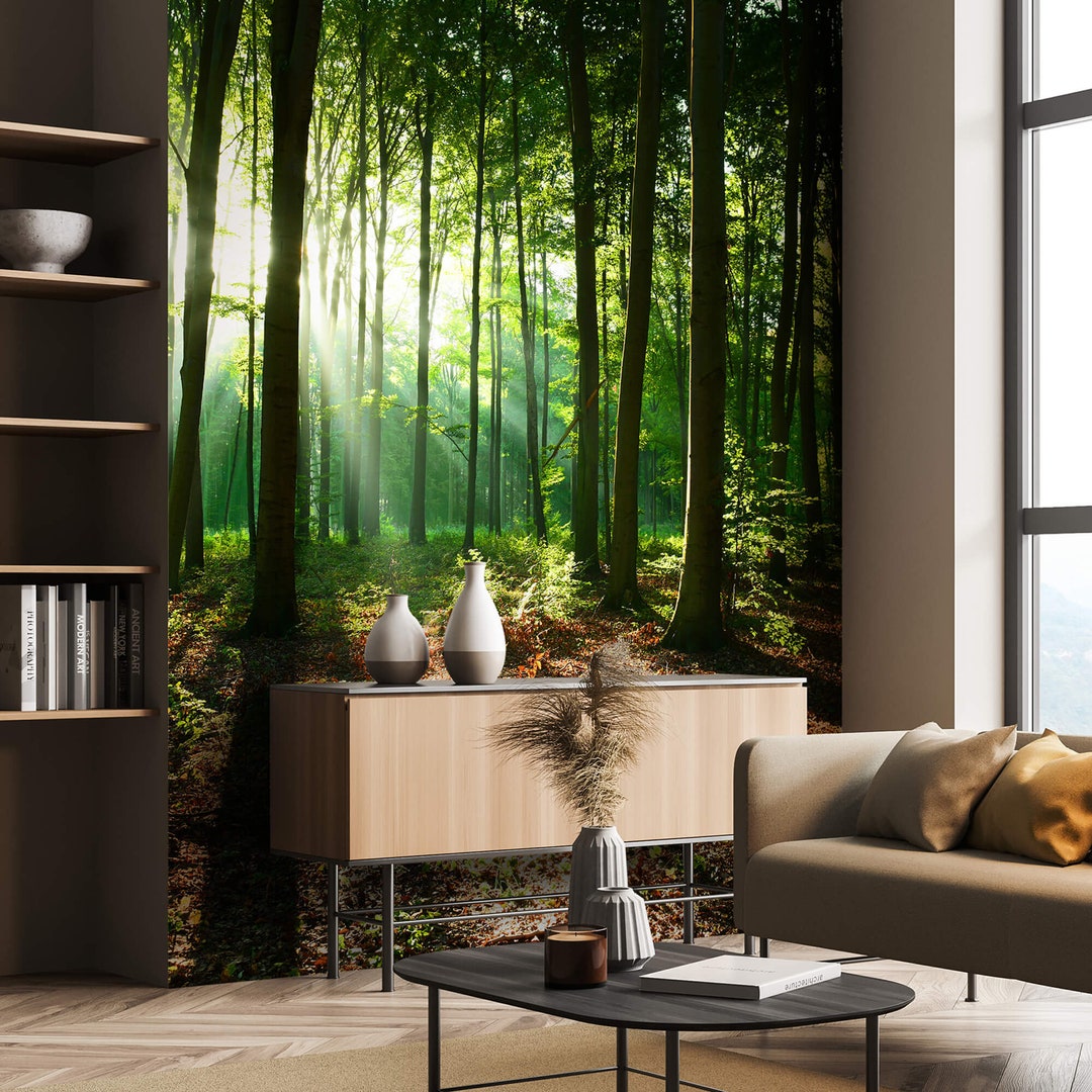 Forest Sunrise Wall Mural / Sunlight Filtering Through the Trees ...