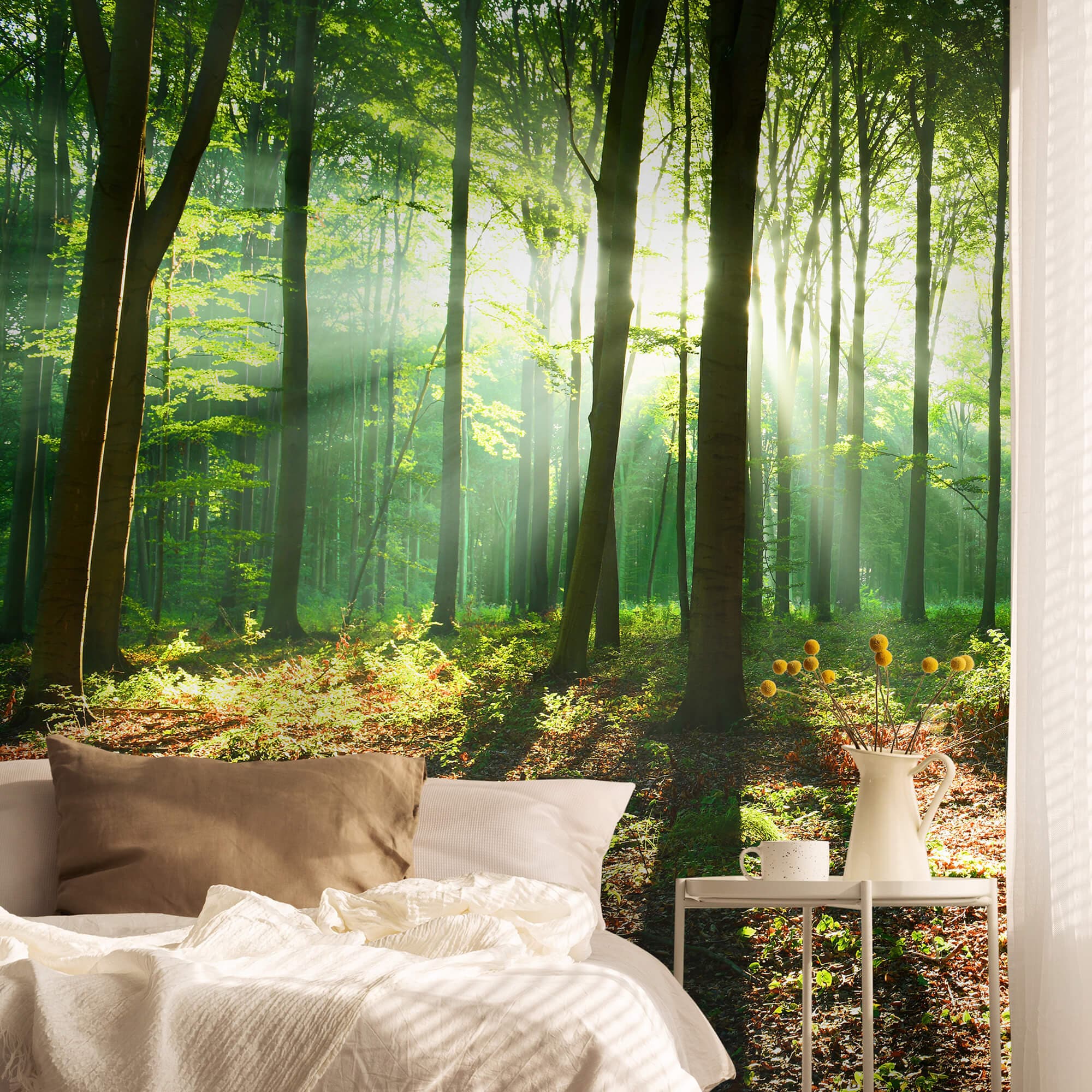Forest Sunrise Wall Mural / Sunlight Filtering Through the Trees ...